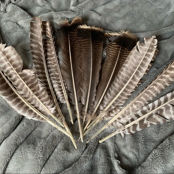 Other | Reiki Infused Authentic Natural Turkey Feathers For Smudging No ...
